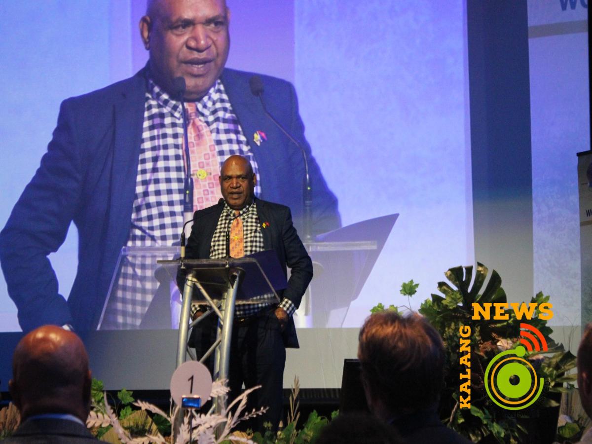 CORPORATE PLAN TO GUIDE COMPLETION OF CONNECT PNG PHASE ONE - Kalang ...