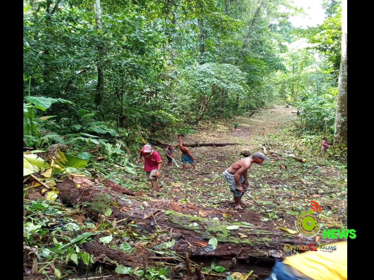 VOLUNTEER BUILDS ROAD TO SUPPORT CONSERVATION IN NORTHERN - Kalang ...
