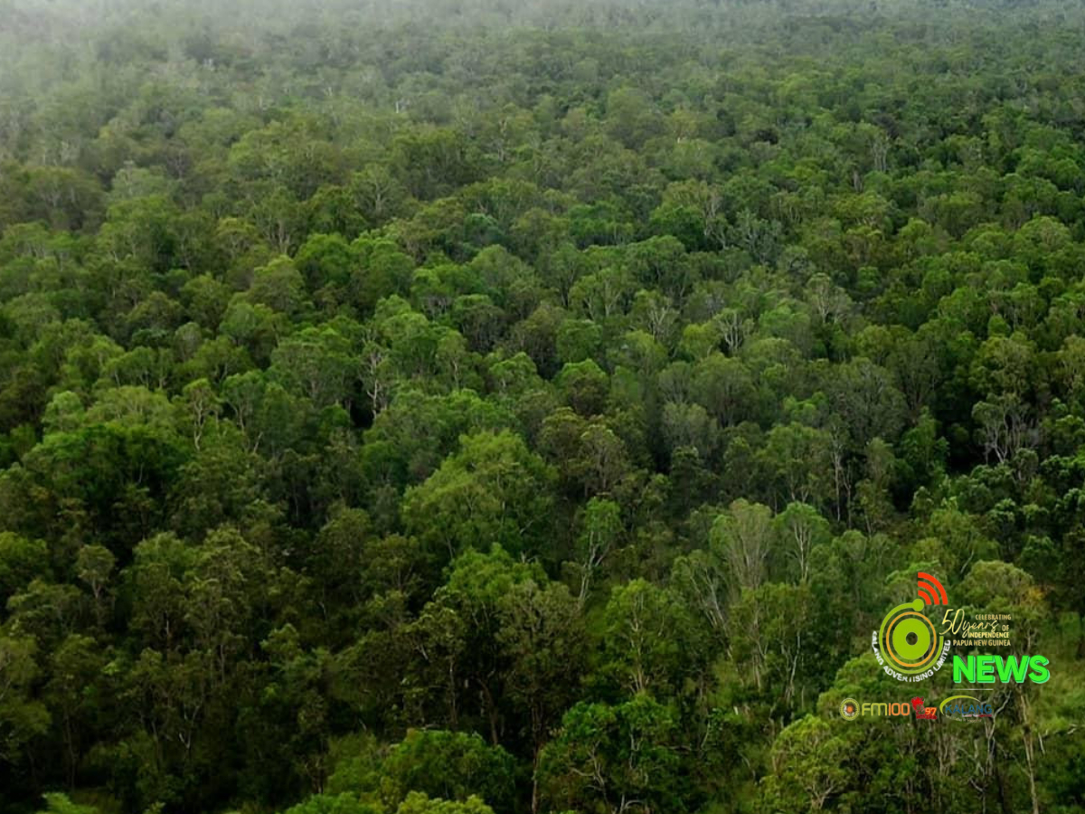 CLIMATE CHANGE EXPERT COMMENDS MINISTER MARU - Kalang Advertising Limited