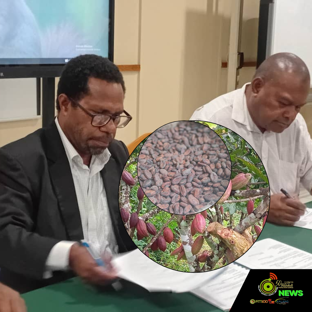 BULOLO & WAU WARIA SIGN AGREEMENT WITH COCOA BOARD TO ENHANCE COCOA ...